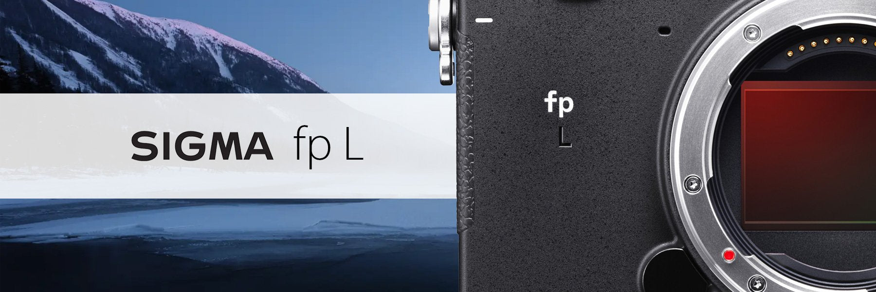 Sigma's Newest fp Camera