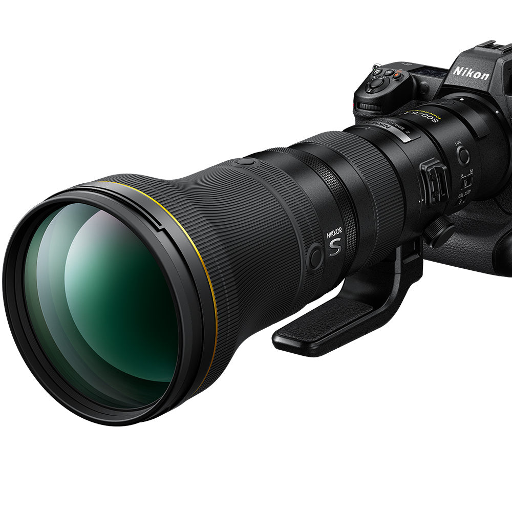 Wildlife Photography Nikon 800mm Nikkor Z 800mm VR S